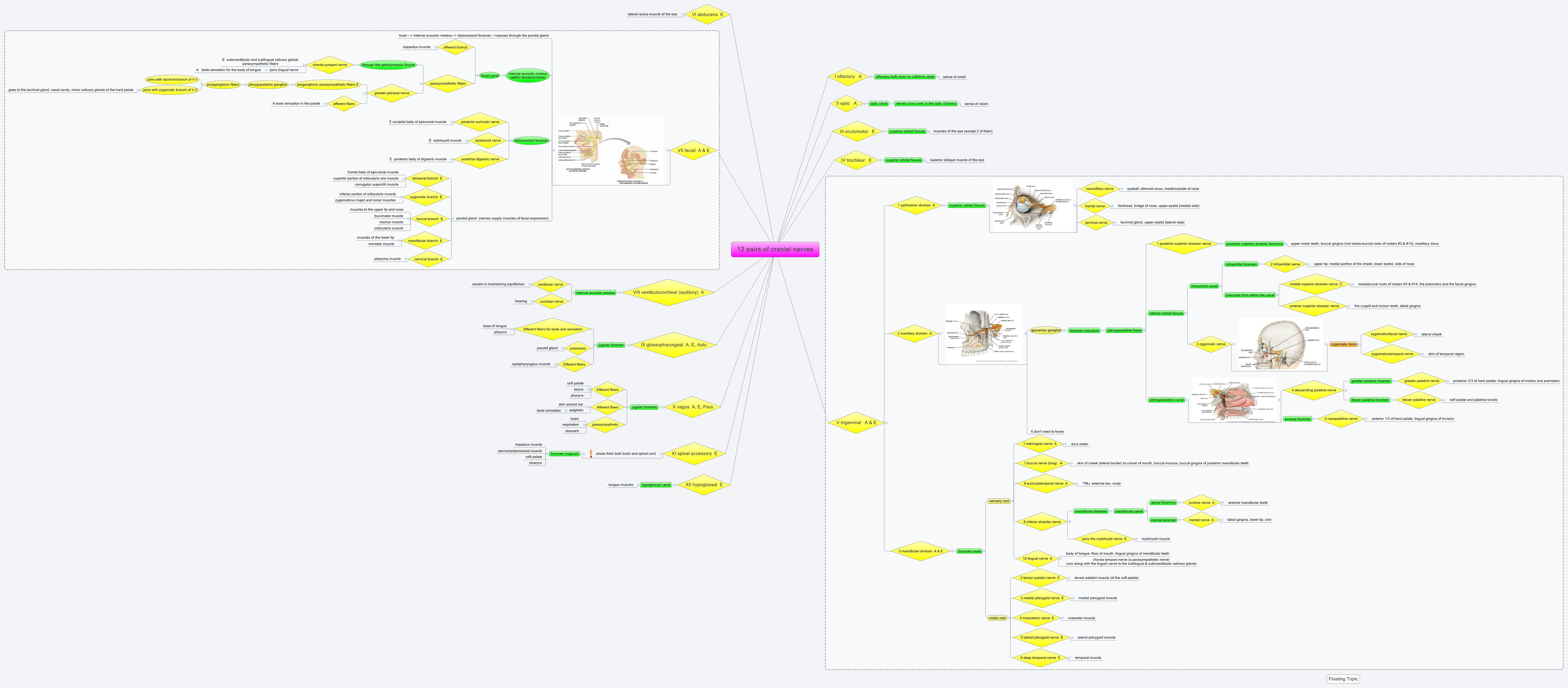 Nervos Facial Mind Map