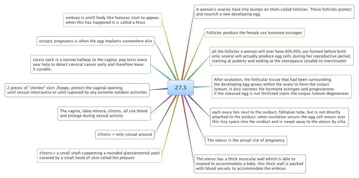 27.3 - Xmind - Mind Mapping App