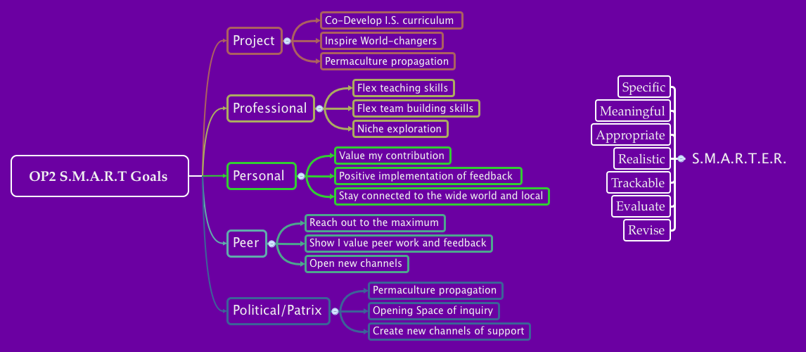 OP2 S.M.A.R.T Goals | Simha Bode - Xmind