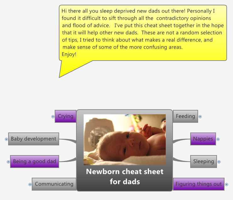 Newborn cheat sheet for dads - Xmind - Mind Mapping App