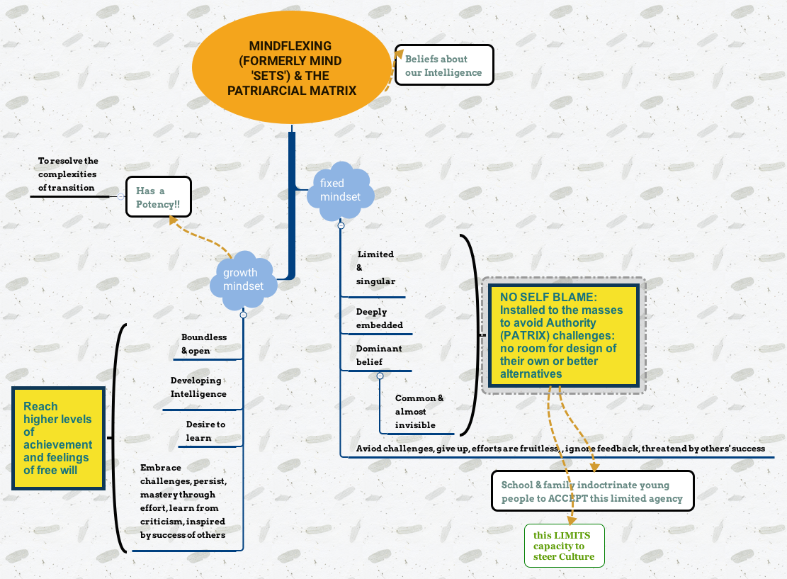Mindflexing (formerly Mind 'Sets') & the Patriarcial Matrix | Indigo108 ...