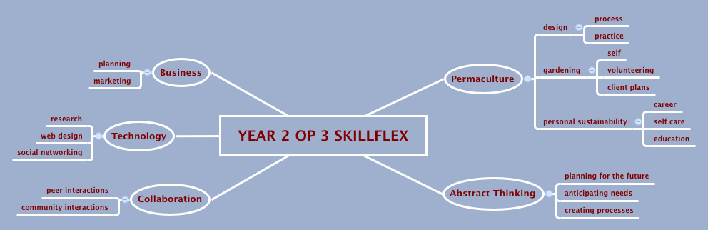 YEAR 2 OP 3 SKILLFLEX - Xmind - Mind Mapping App