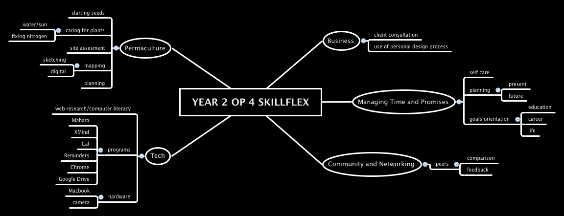 YEAR 2 OP 4 SKILLFLEX | meredithkirby - Xmind