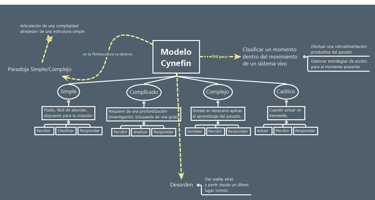 Modelo Cynefin | sebastian.lema.g - Xmind
