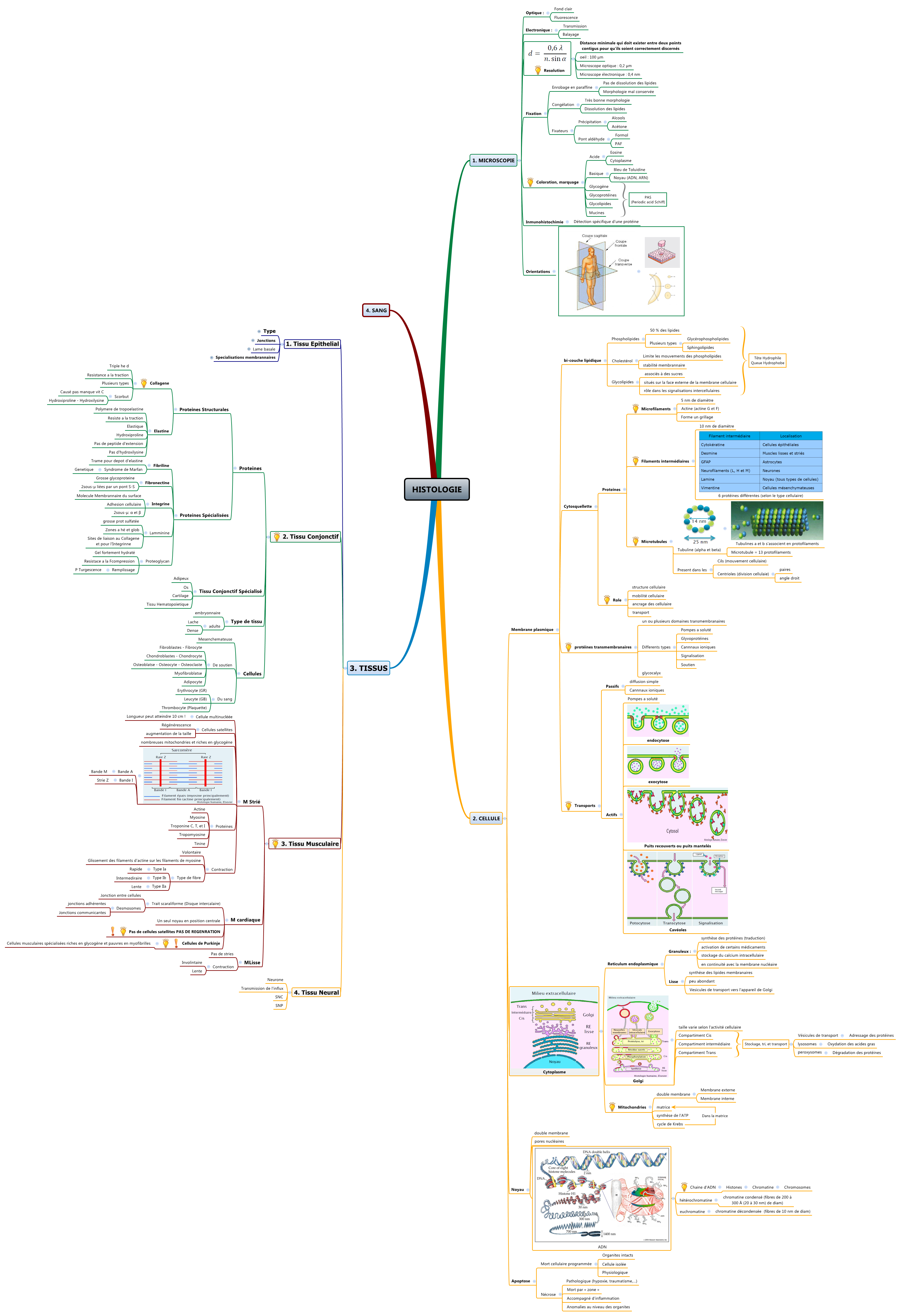 Xmind Share - Xmind - Mind Mapping App