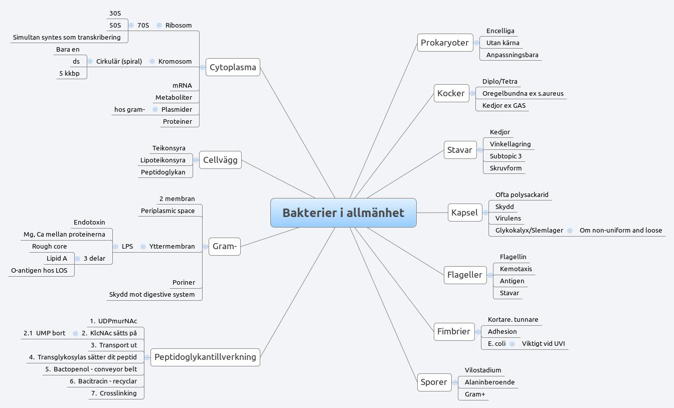 Bakterier i allmänhet | Samuel Henriksson - Xmind
