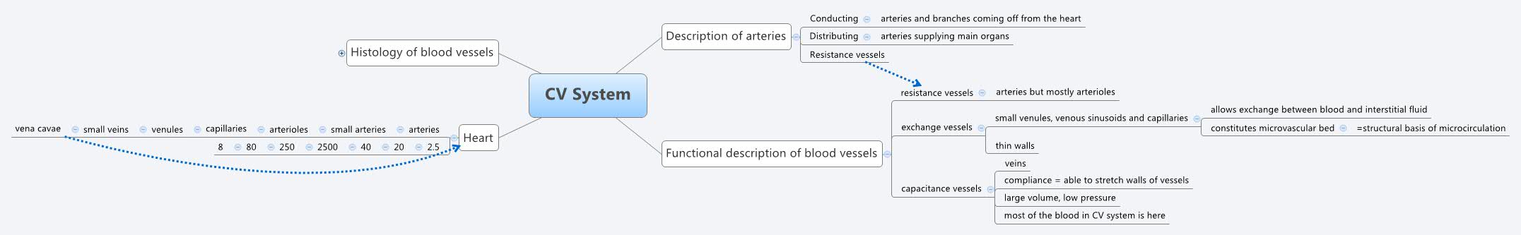 CV System | squeezethemoose - Xmind