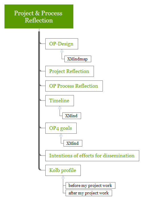 Project & Process Reflection | Carolina-Therese - Xmind
