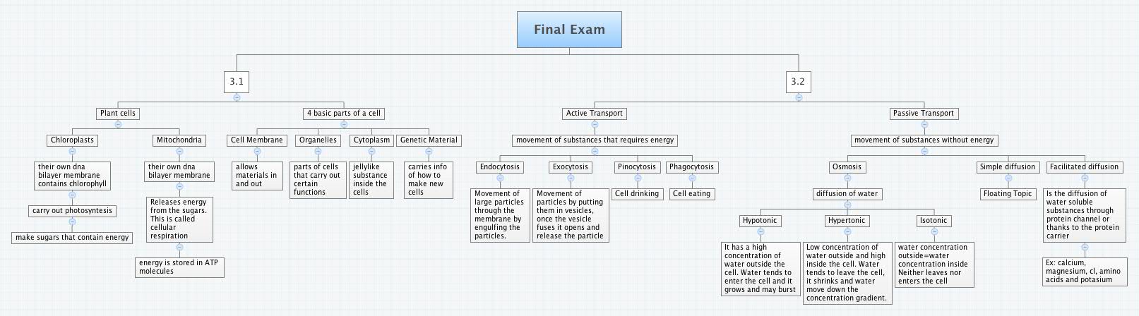 Final Exam | sebas125 - Xmind