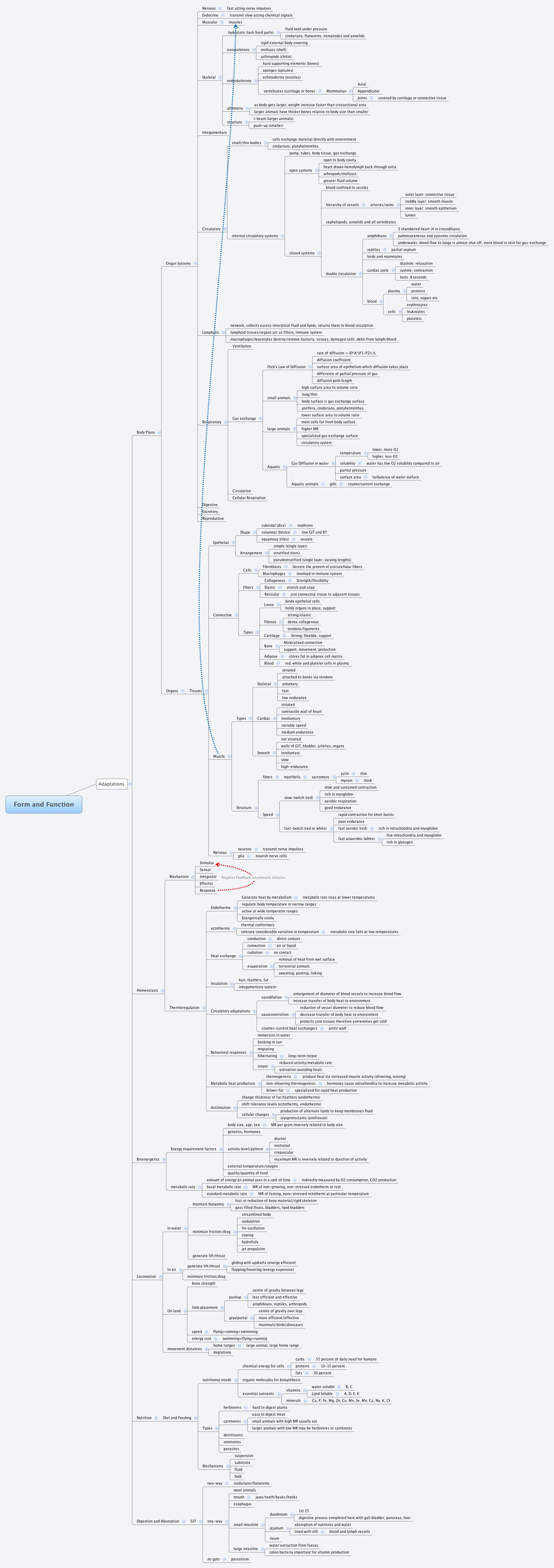 Form and Function | DidacticDan - Xmind