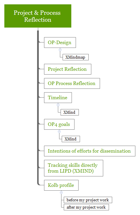 Project & Process Reflection | Carolina-Therese - Xmind