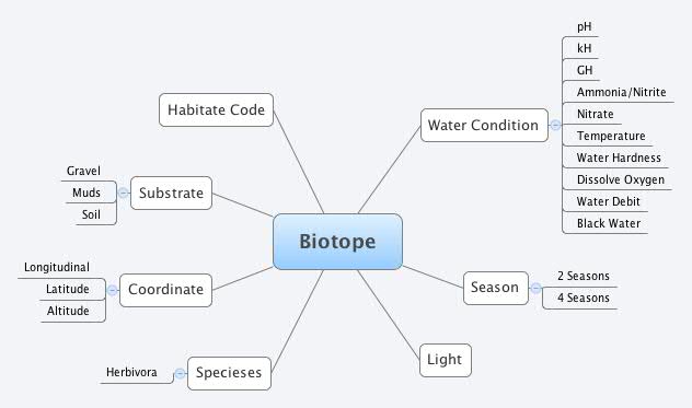 Biotope | fthamura - Xmind