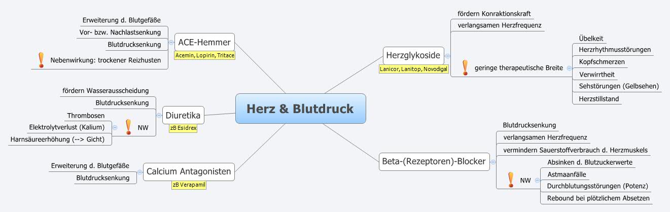 Herz & Blutdruck - Xmind - Mind Mapping App