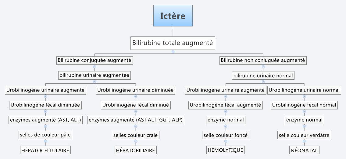 Ictère - Xmind - Mind Mapping App