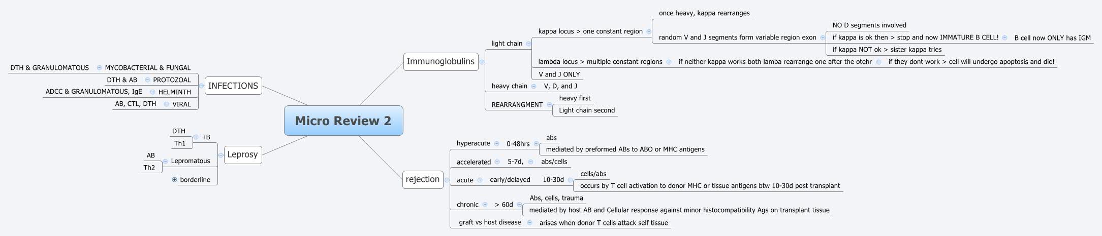 Micro Review 2 | daniela.mcconnell - Xmind