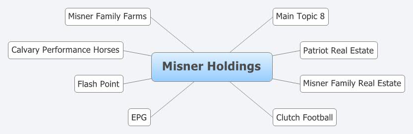 Misner Holdings | Randy Misner - Xmind