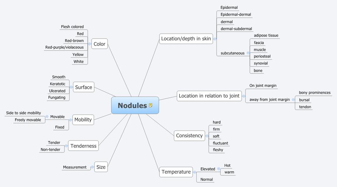 Nodules - Xmind - Mind Mapping App