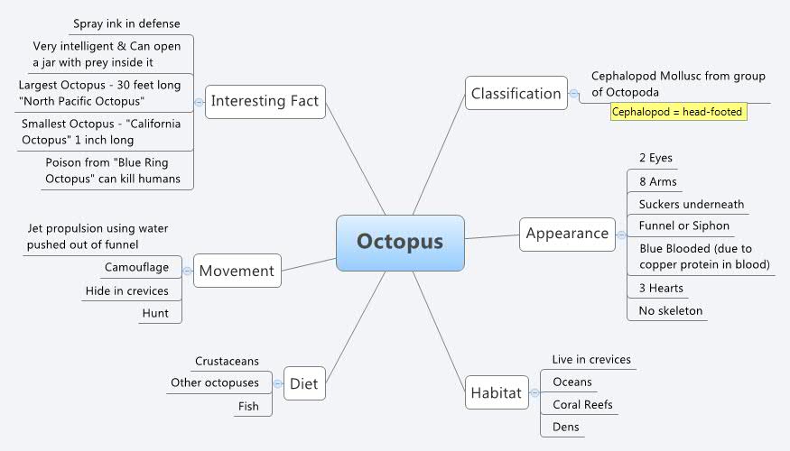 Octopus | prashantpriyanka - Xmind