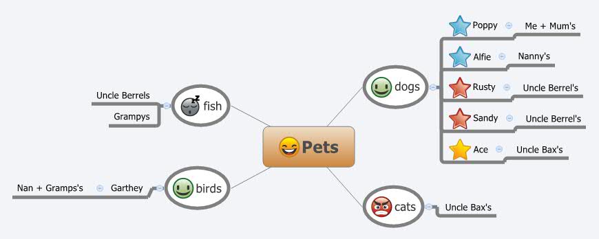 Pets - Xmind - Mind Mapping App