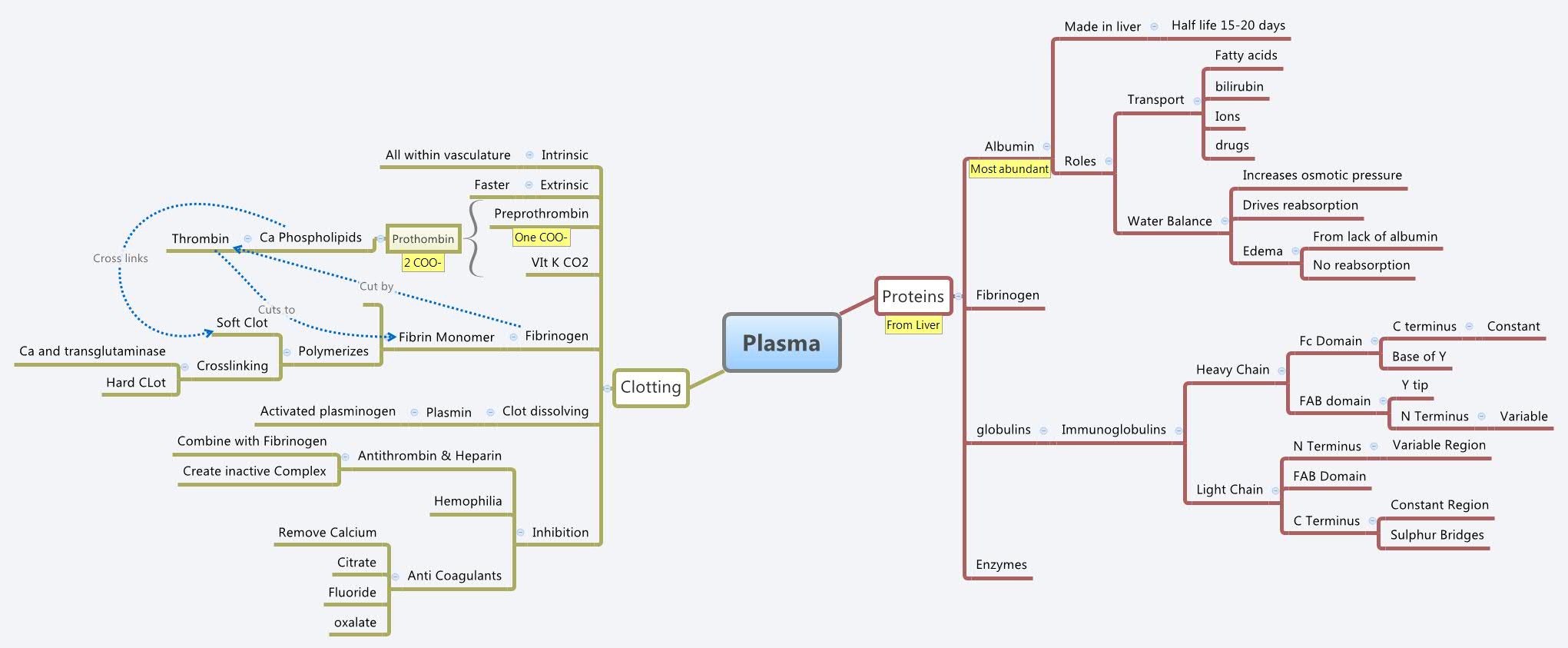 Plasma | adamspam - Xmind
