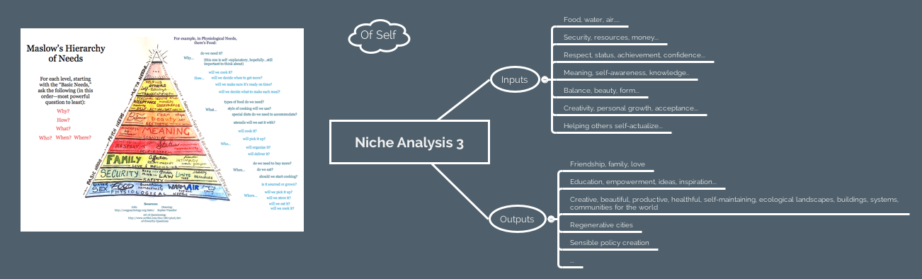 Niche Analysis 3 | sgviandier - Xmind