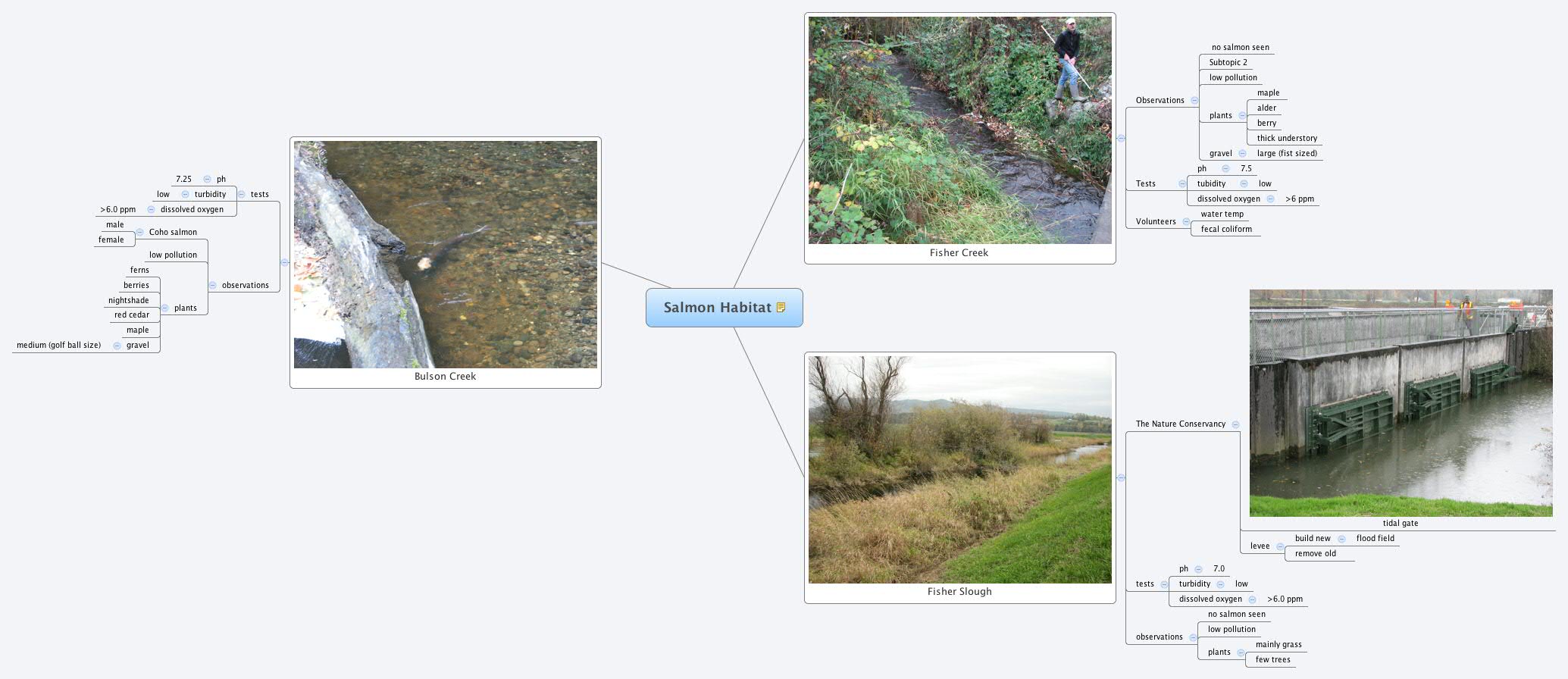 Salmon Habitat | Ron Haywood - Xmind