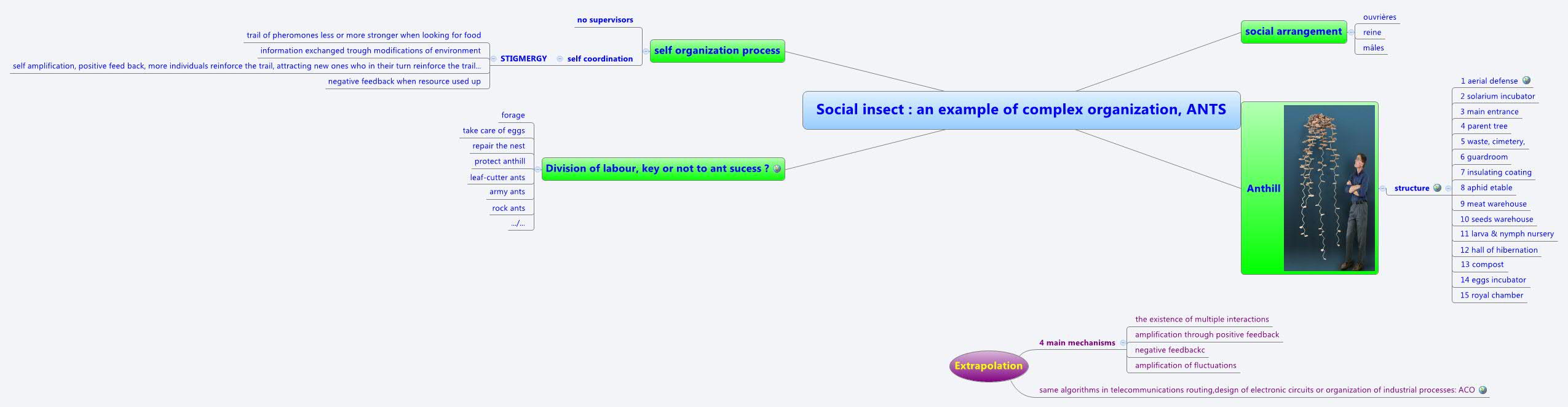Social insect : an example of complex organization, ANTS - Xmind - Mind ...