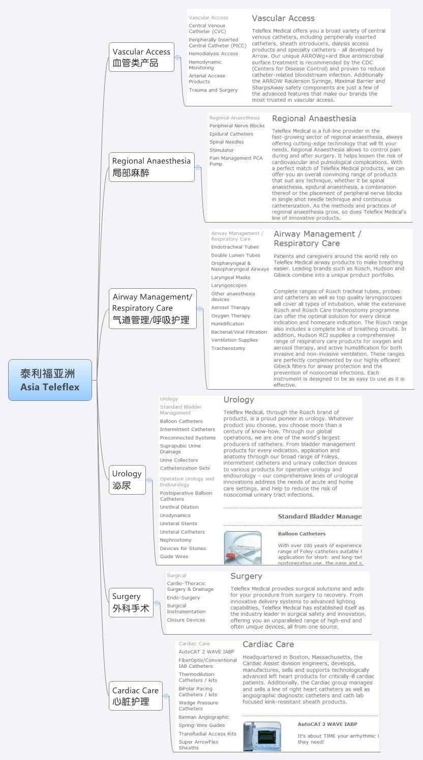 泰利福亚洲 Asia Teleflex | 84791767 - Xmind