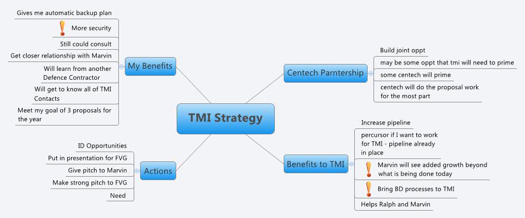 TMI Strategy | swrvol - Xmind