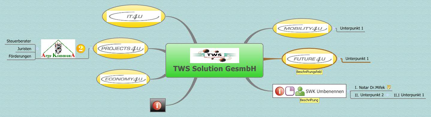 TWS Solution GesmbH | walter59 - Xmind
