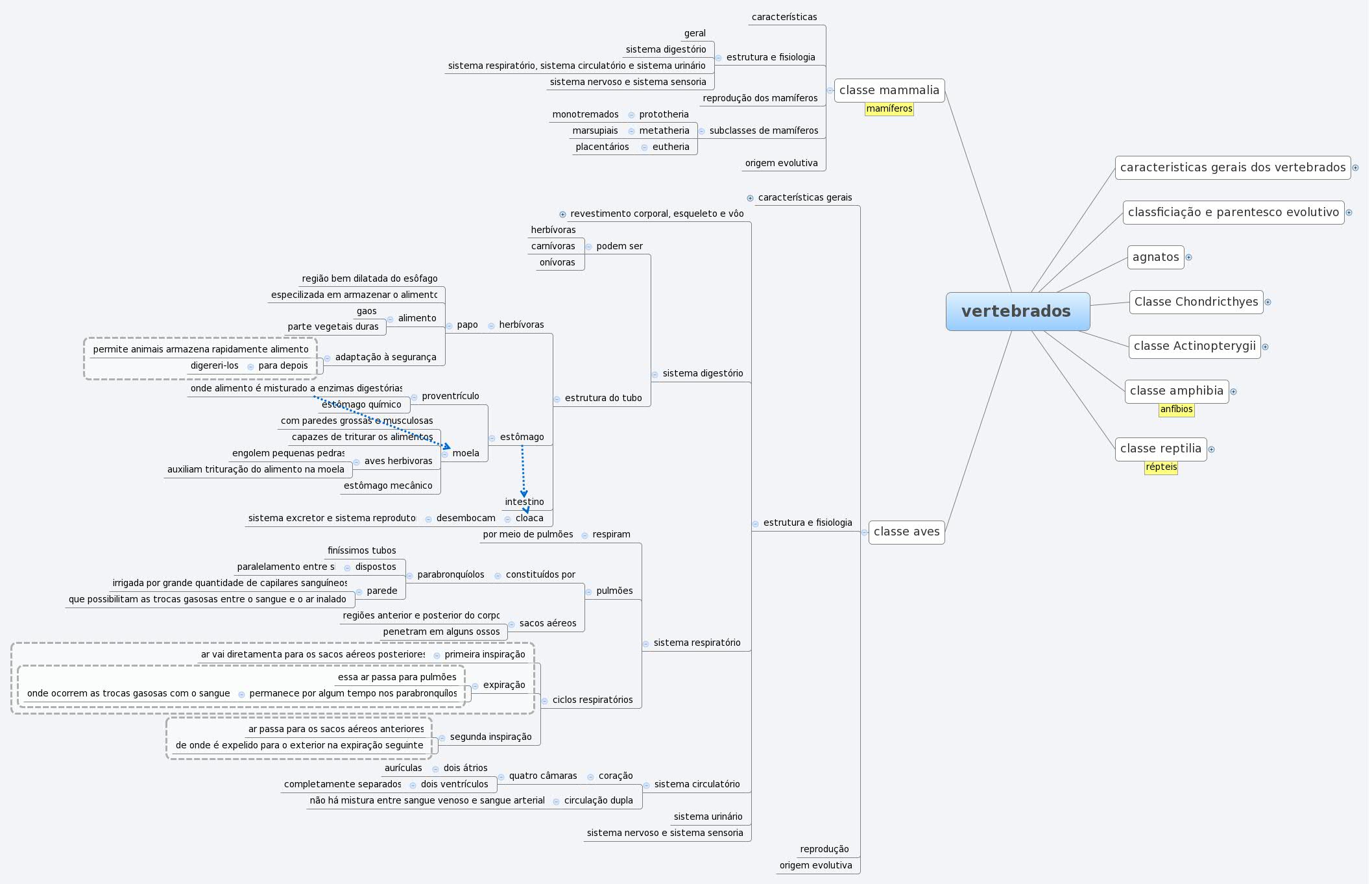 vertebrados - Xmind - Mind Mapping App