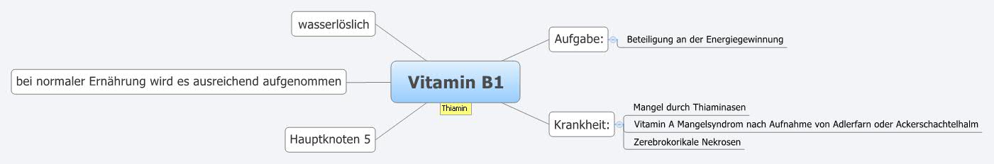Vitamin B1 - Xmind - Mind Mapping App
