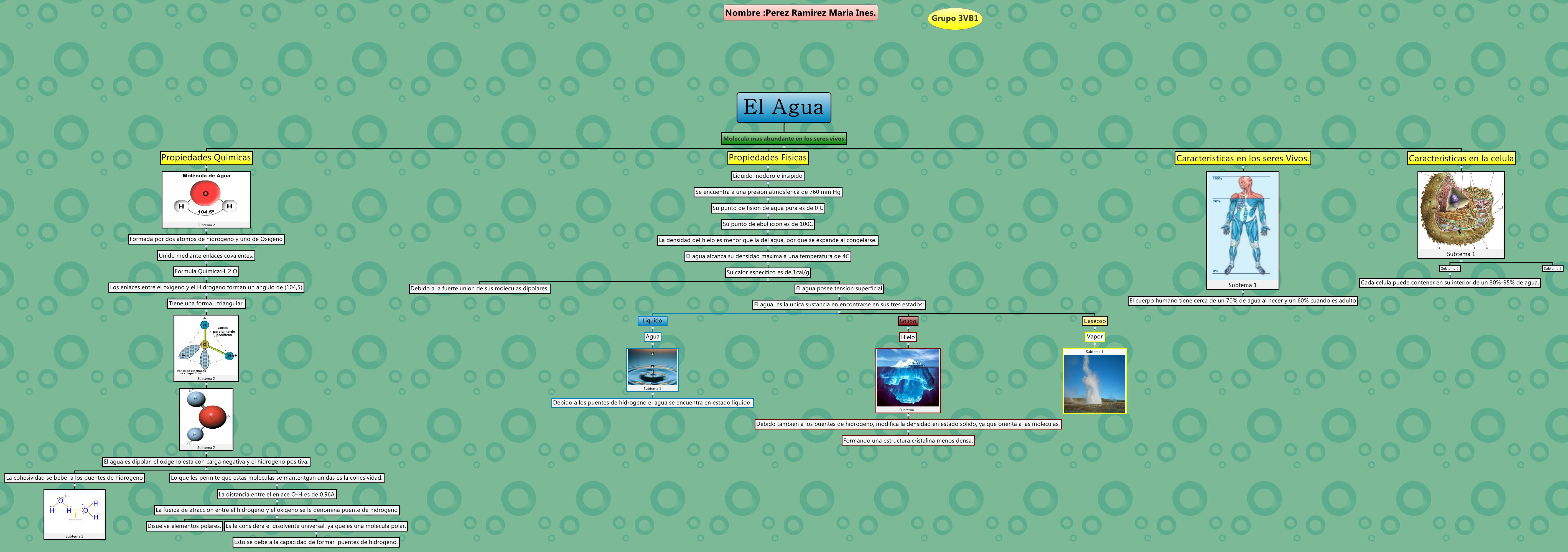 El Agua - Xmind - Mind Mapping App