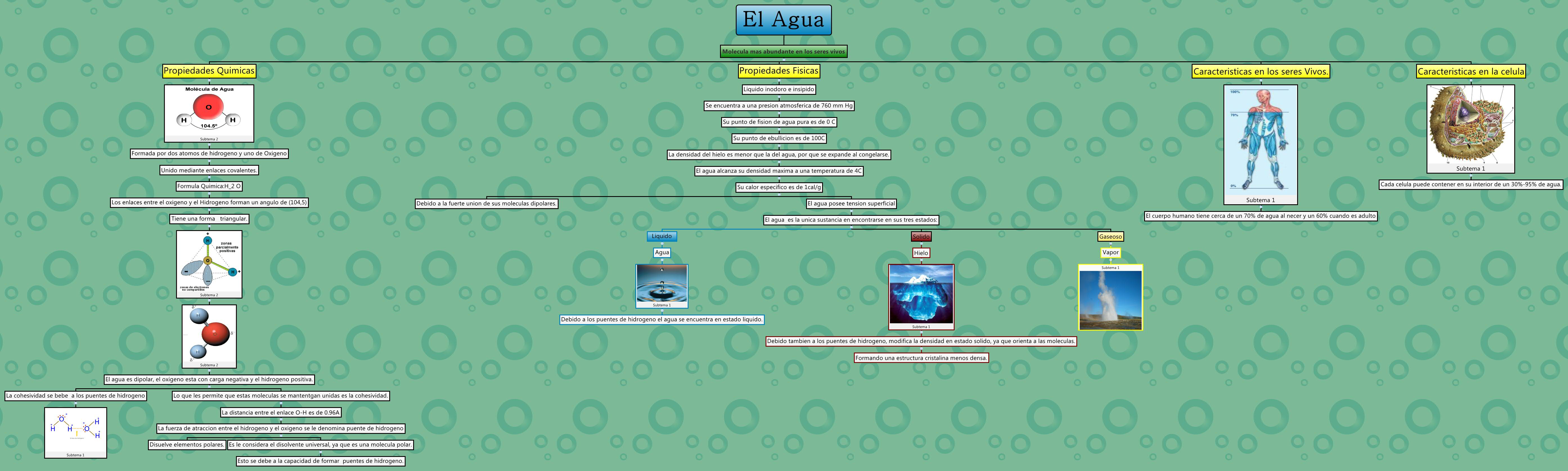 Xmind Share - Xmind - Mind Mapping App