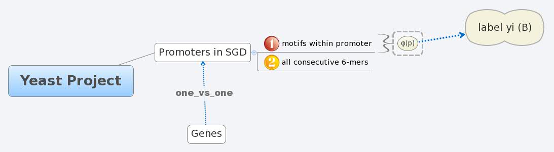 Yeast Project | Han Hu - Xmind
