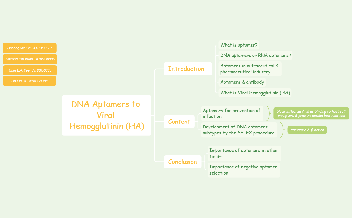 Biomolecules Assignment Mindmap Uxrrvgnvle Xmind