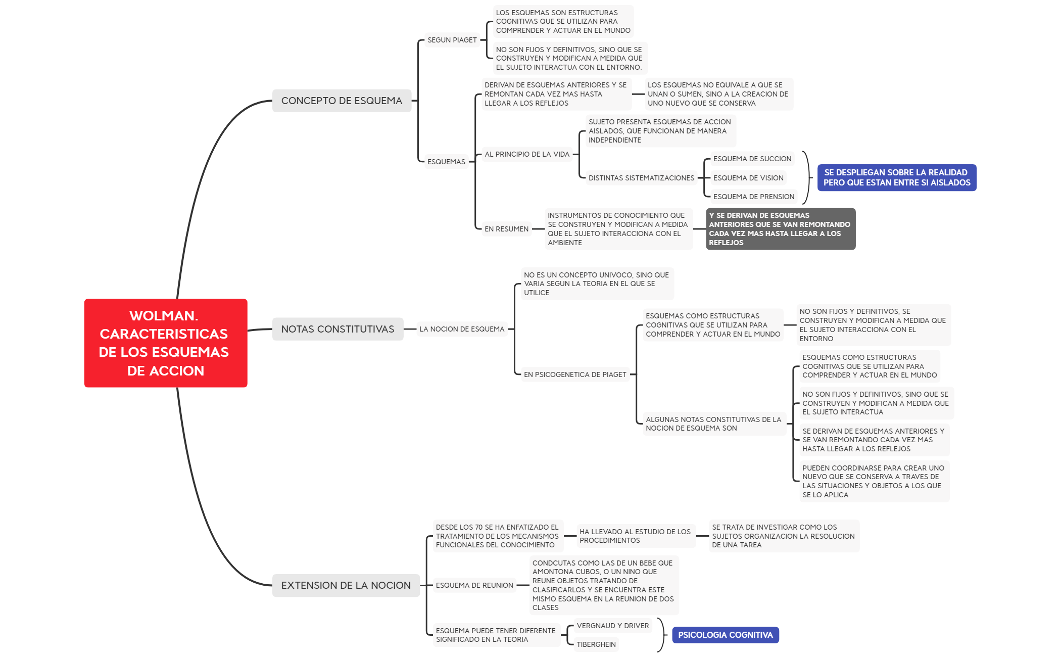 Wolman. Caracteristicas de los esquemas de accion | Nahuel Patricio Rodriguez - Xmind