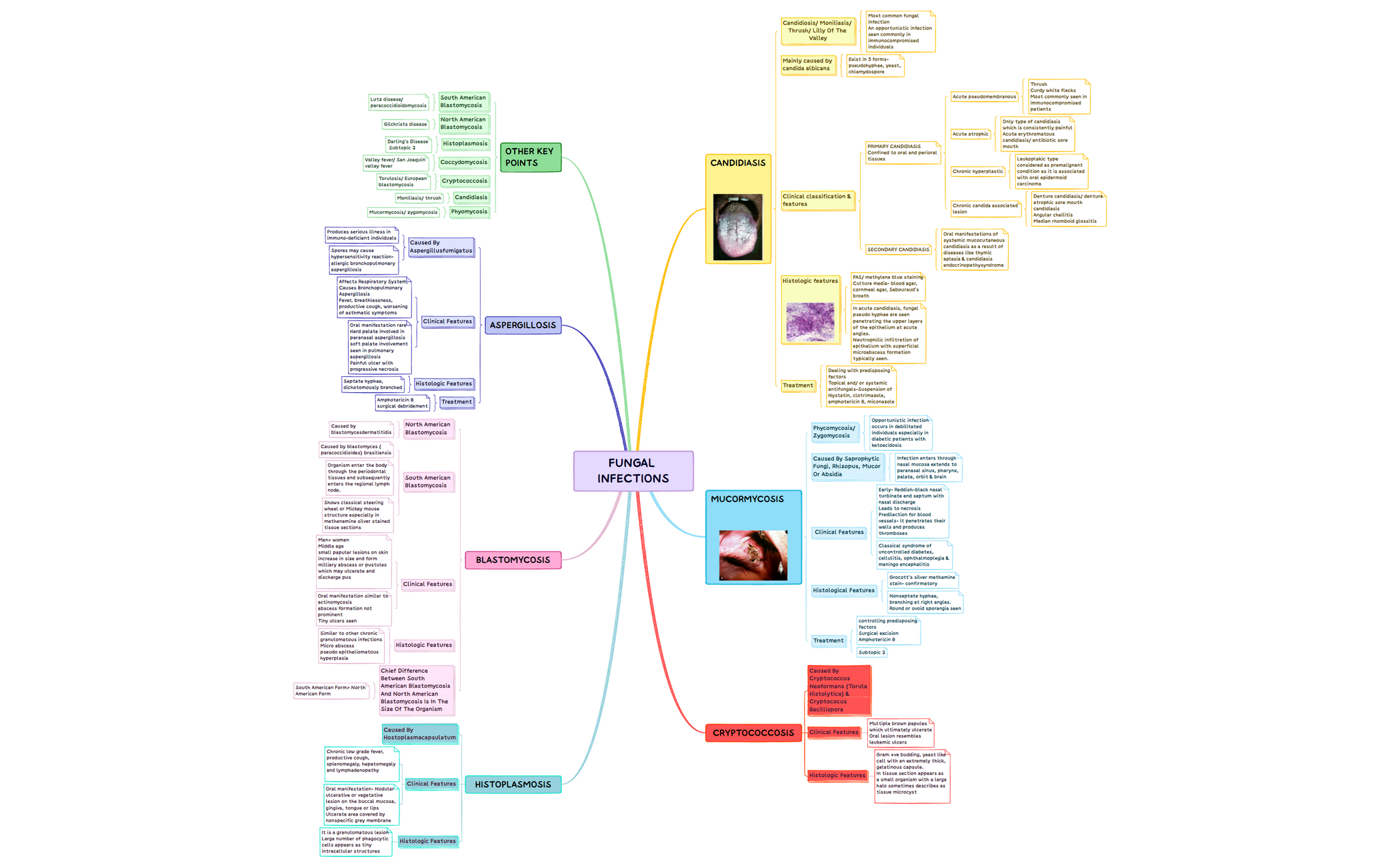 Template Mindmap.xmind.xmind | Manpreeth M - Xmind