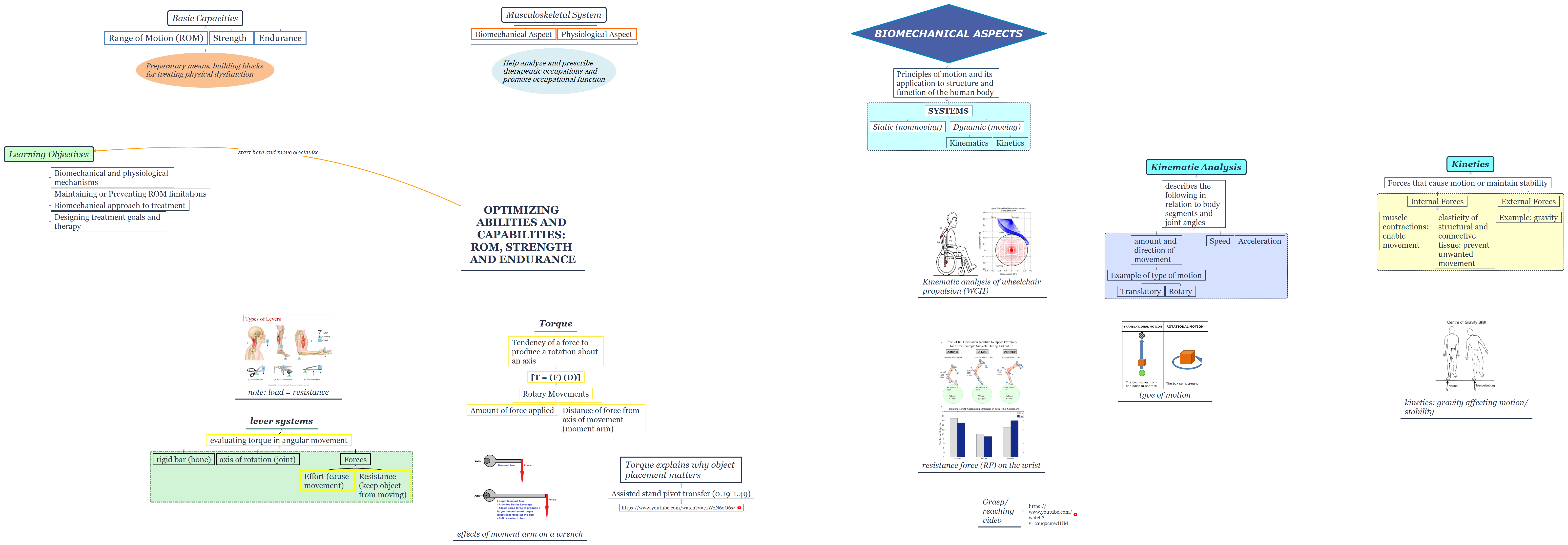 Optimizing Abilities and Capabilities: ROM, Strength and Endurance ...