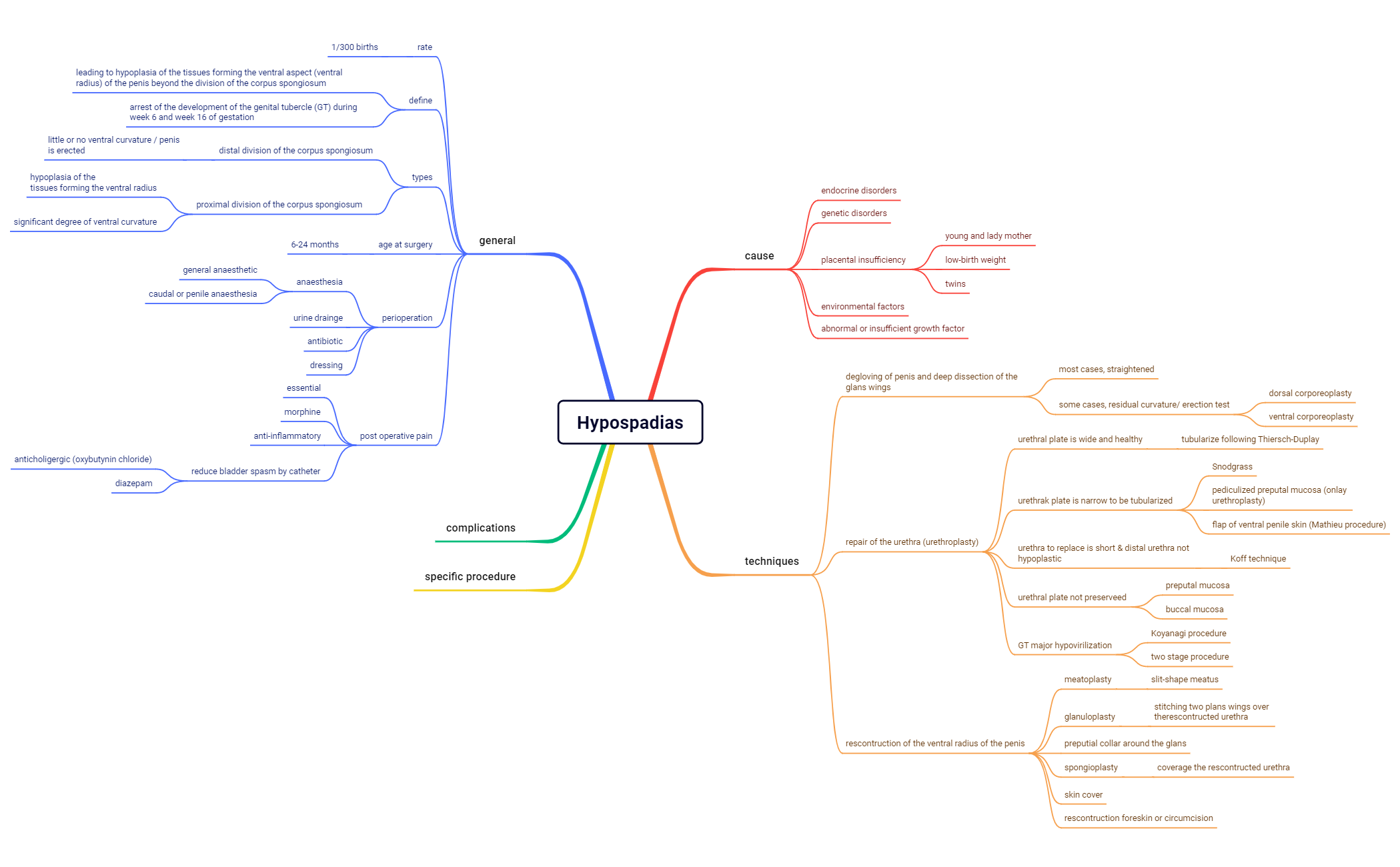Hypospadias | Huy Vo Q - Xmind