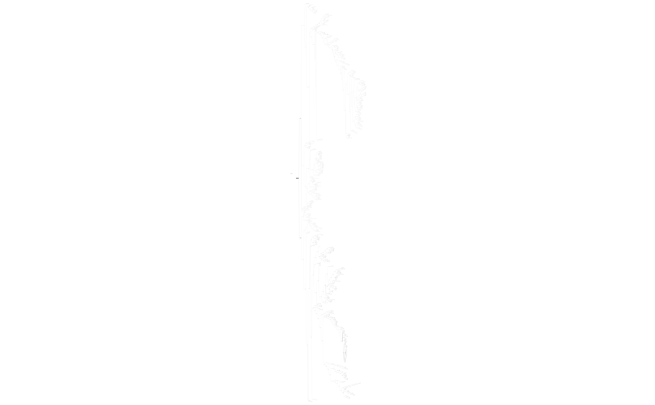 Phylogénie Simplifiée Des Eucaryotes Eliot Ruiz Xmind