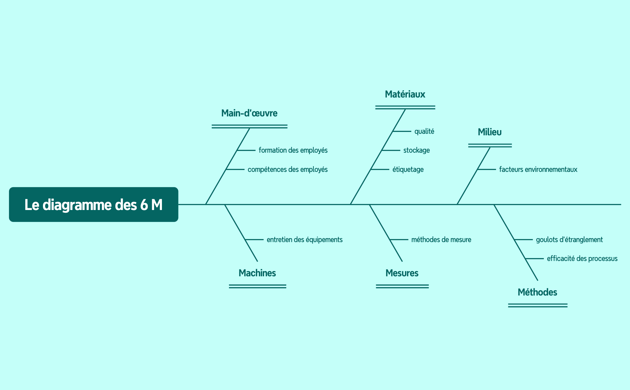 6 M | ROSE YAO - Xmind