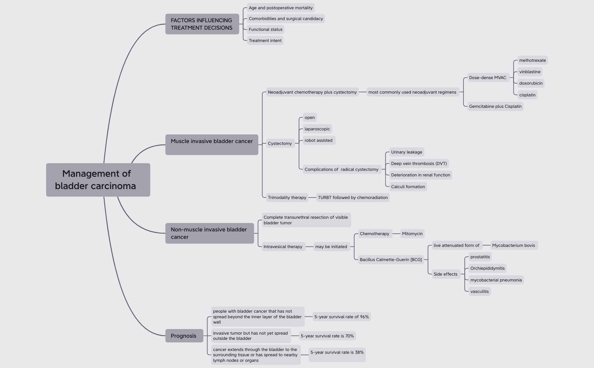 Untitled | EjzUKfvloW - Xmind